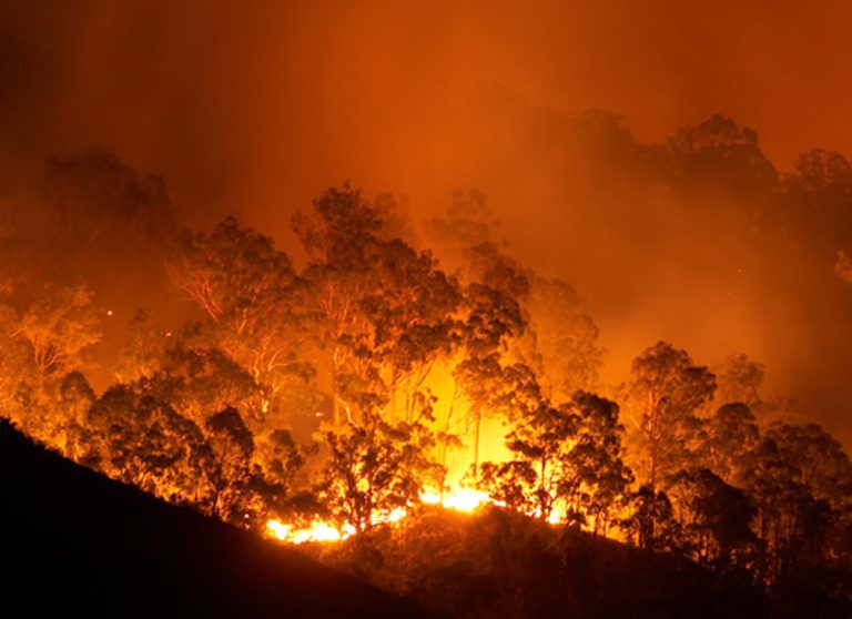Bushfire Protection - Bowsers | Fire Protection Experts